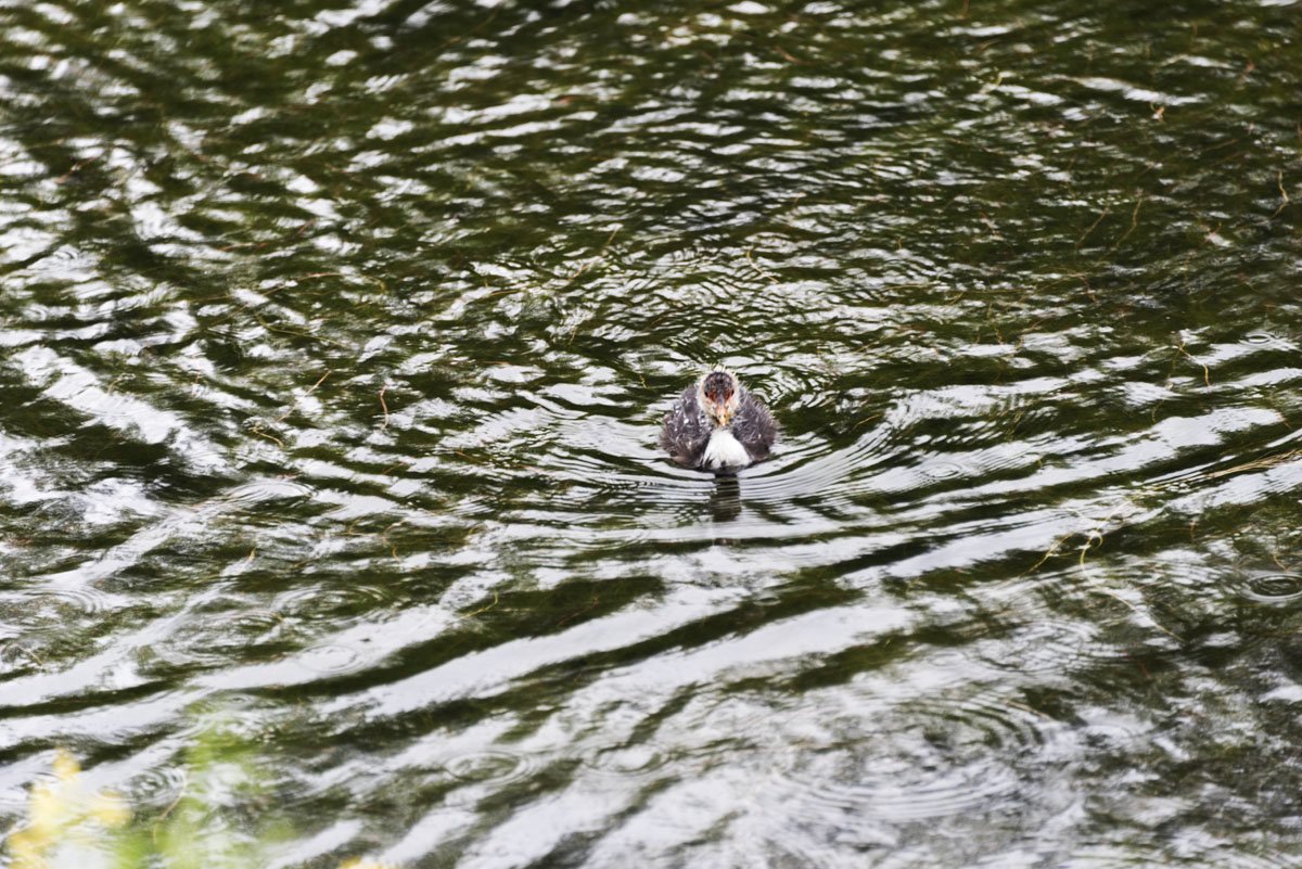 Visit Lohja, Lohjansaari & Vihti in 30 Pictures - Photostory
