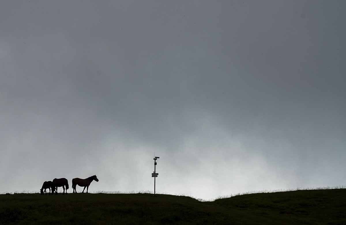 Guide to the Via Francigena In Emilia Romagna - The Crowded Planet